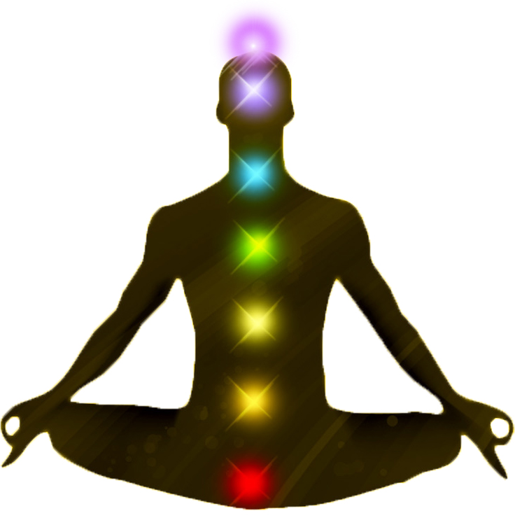 LUCID BODY Chakra Series - Drop in | Lucid Body | Acting classes and ...